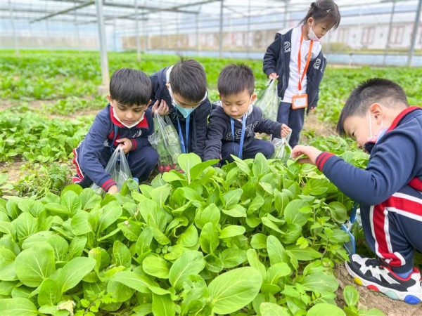 Preschool (Early Years) News - Shanghai Singapore International School ...